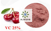 Acerola Extract VC 25% Coniferous Cherry Fruit Extract Powder