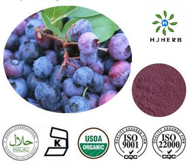 Anthocyanins Organic Freeze Dried Blueberry Powder