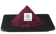 Anthocyanins Organic Freeze Dried Blueberry Powder