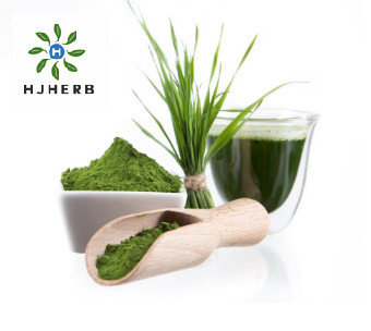 Food Grade Pure Natural Wheatgrass Juice Powder For Food