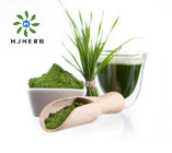 Organic Wheat Grass Powder 100% natural Herb Extract Powder