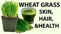 Organic Wheat Grass Powder 100% natural Herb Extract Powder