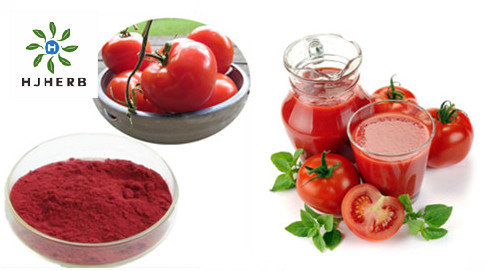 100% Pure Lycopene Tomato Extract Powder Vegetable Extract Powder