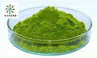 Green  Sulforaphane Enhance Immunity Broccoli Extract Powder