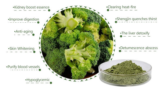 Green  Sulforaphane Enhance Immunity Broccoli Extract Powder