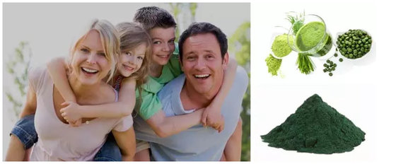 Green Chlorella Natural Chlorella Powder Tablet Health Food Organic Spirulina Powder Vitamin B12