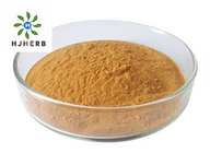 DNJ Mulberry Leaf Extract 5% Natural Plant Extract Powder