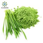 Natural Plant Extract Superfoods Barley Grass Juice Powder