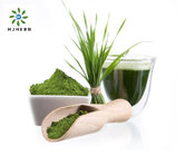 Natural Plant Extract Superfoods Barley Grass Juice Powder