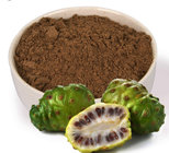 100% Natural Noni Juice Noni Fruit Plant Extract Powder