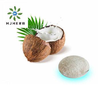 Food Grade 100% Pure Nature Coconut Fruit Extract Powder