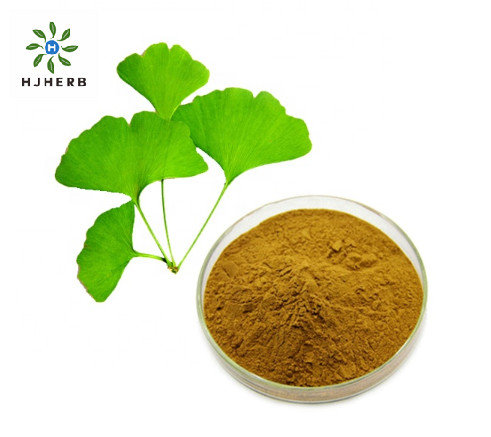Water SolubleNatural Ginkgo Biloba Leaf Extract Powder