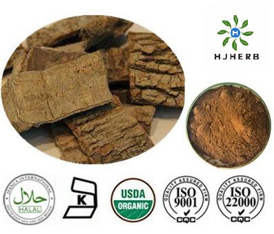 Hjherb Supply Eucommia Ulmoides Extract Plant Extract Powder