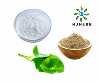 Natural Centella Asiatica Extract Healthy Plant Extract Powder