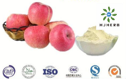 Healthy Apple Cider Vinegar Powder 100% Natural Fruit Extract Powder For Lose Weight