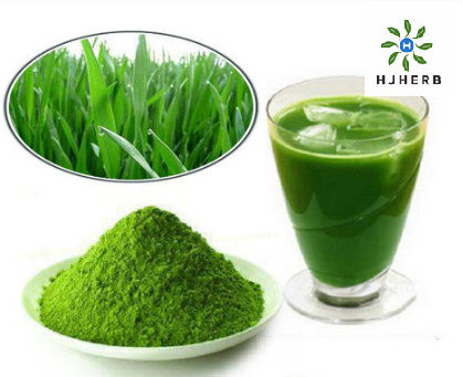 Food Grade Pure Natural Wheatgrass Juice Powder For Food