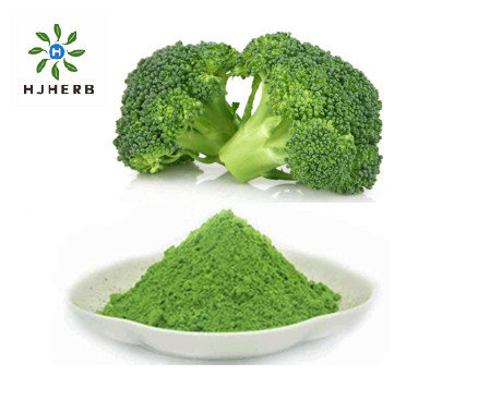 Green  Sulforaphane Enhance Immunity Broccoli Extract Powder