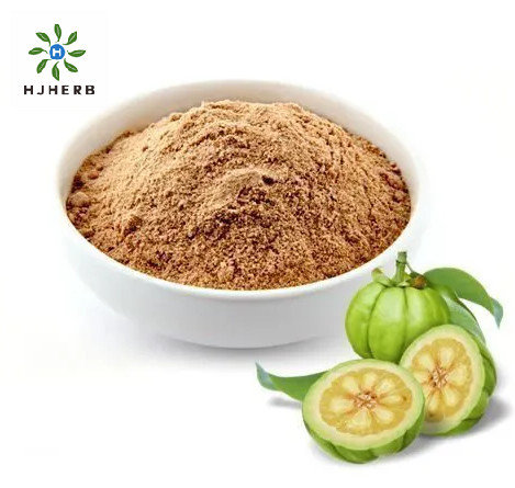 White 95% Weight Loss HCA Garcinia Cambogia Extract Powder