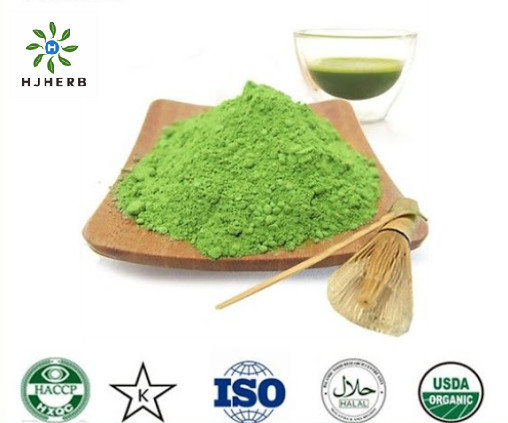 Food Grade Natural Ingredients Matcha Green Tea Extract Powder